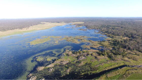 The Ancient Aboriginal Engineering of the Budj Bim Eel Traps - Short ...
